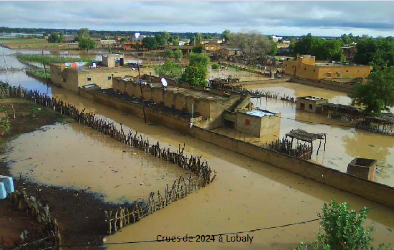 Montée des eaux du fleuve Sénégal à Matam : Lobaly se met dé... | Seneweb