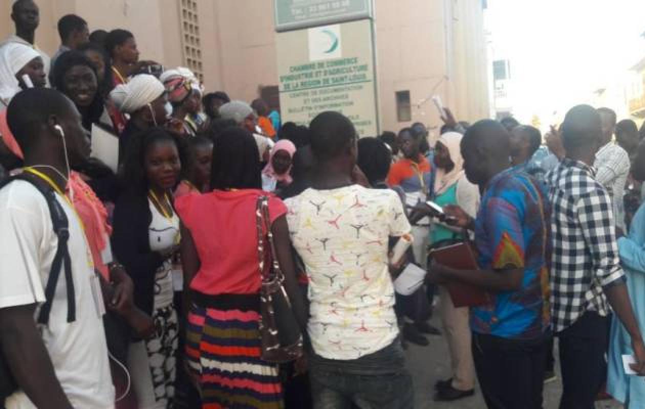 Kaolack : Lancement officiel du Programme de renforcement de... | Seneweb