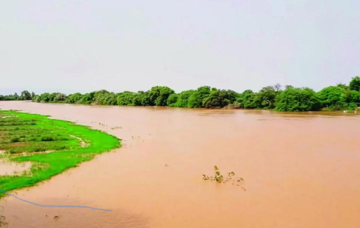 Hydrologie du Fleuve Sénégal à Podor : progression de 2 cm e... | Seneweb