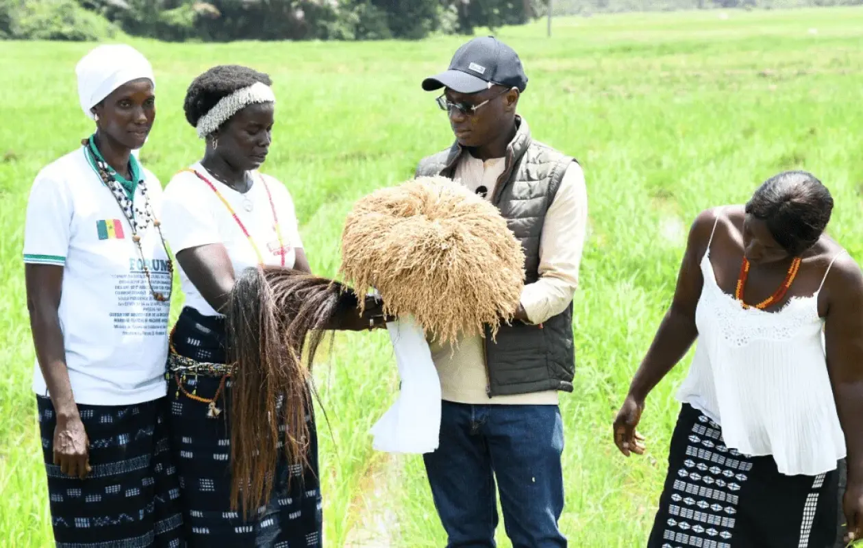 Arachide, maïs : 2025, une campagne agricole de tous les rec... | Seneweb