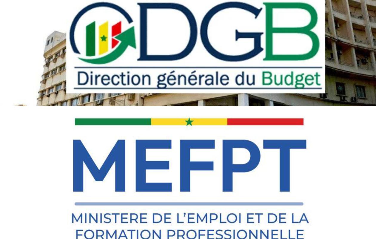 Emploi et Formation Professionnelle : Un budget 2026 en haus... | Seneweb