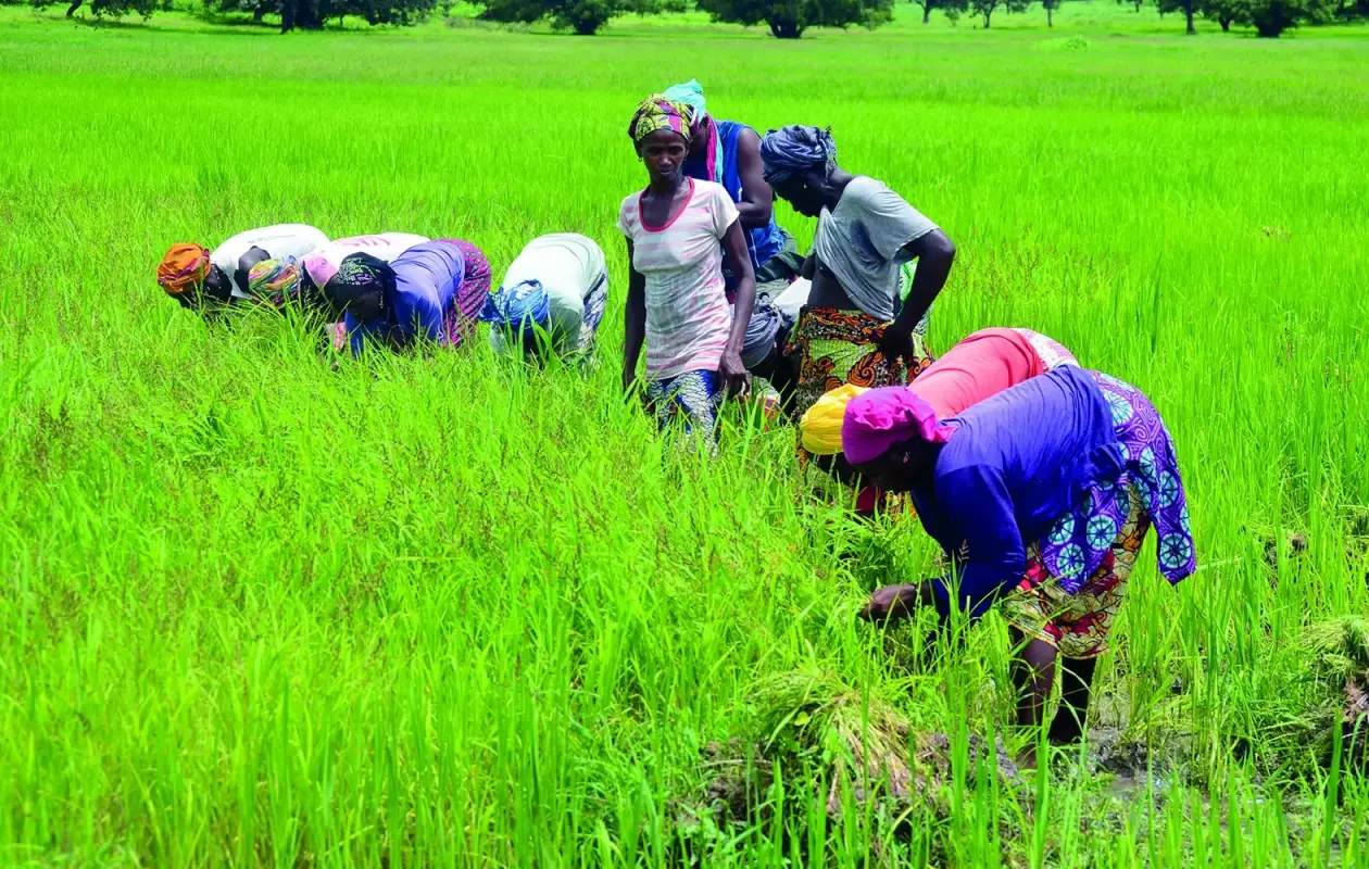 Launch of the "Hot Dry Season 2026" Campaign: The Senegal Ri... | Seneweb