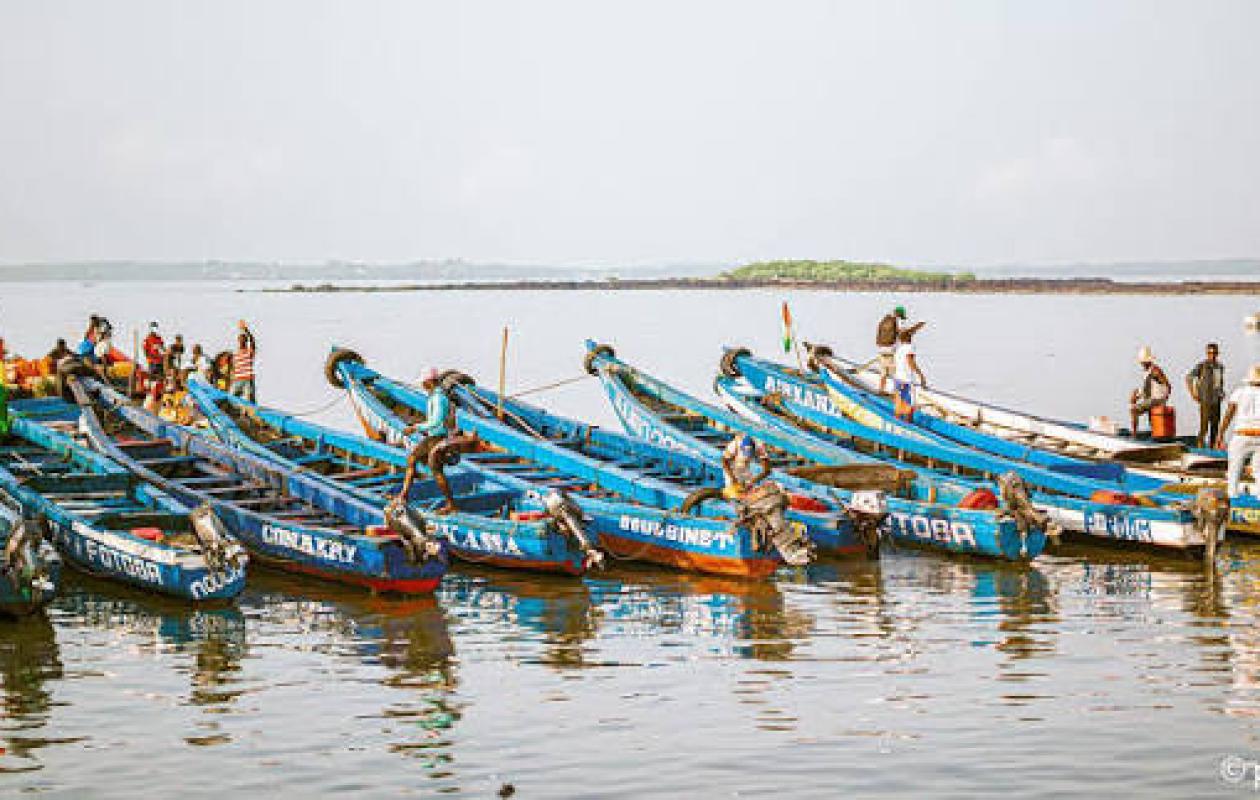 Guinée : Au port de Boulbinet, le konkoé fait battre le cœur... | Seneweb