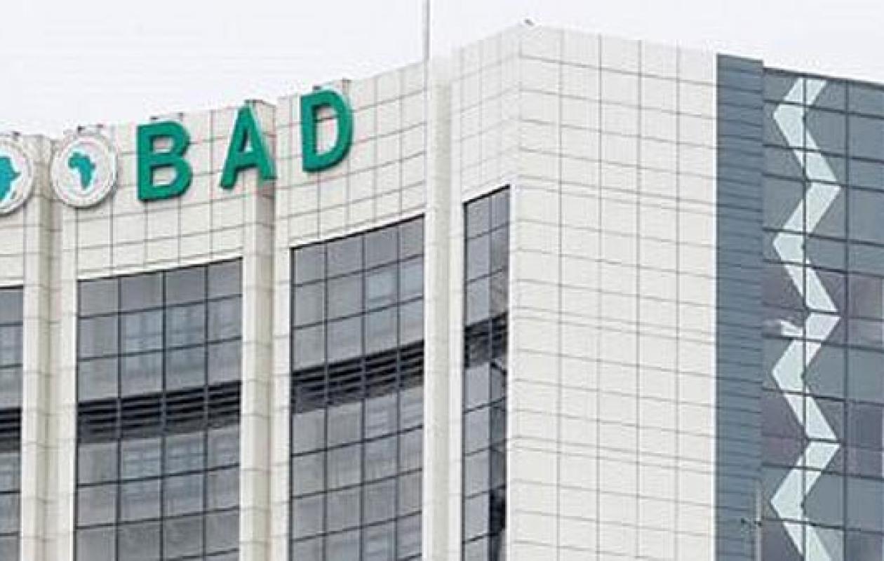 La BAD veut transformer l'épargne africaine en moteur de dév... | Seneweb